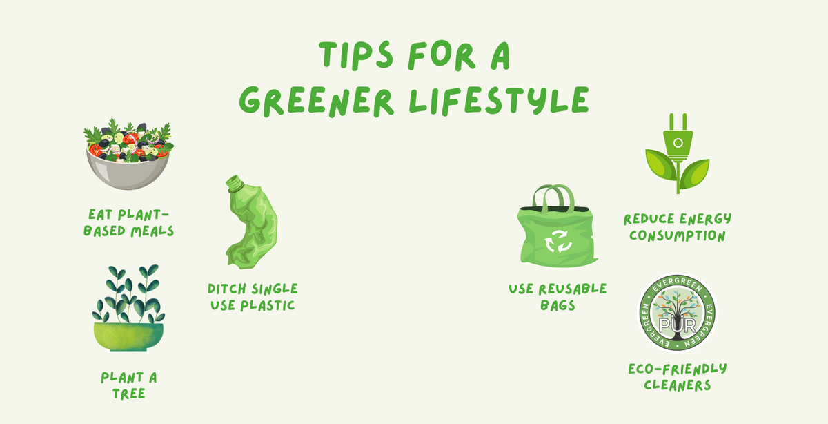 Easy Eco-Friendly Tips for a Greener Lifestyle – PÜR Evergreen