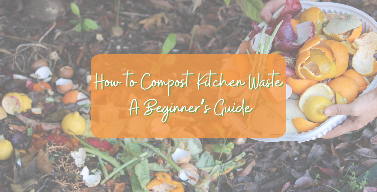 How to Compost Kitchen Waste: A Beginner’s Guide – PÜR Evergreen